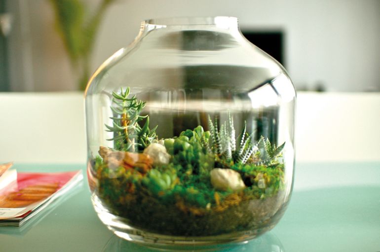 Botanical Accents in Interior Design: How to Create Cozy Phytodesign at ...